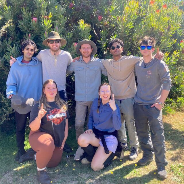 Home | Happy Wombat Hazelnuts